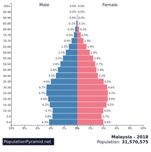 Census & Demographic – SmartMap Insights